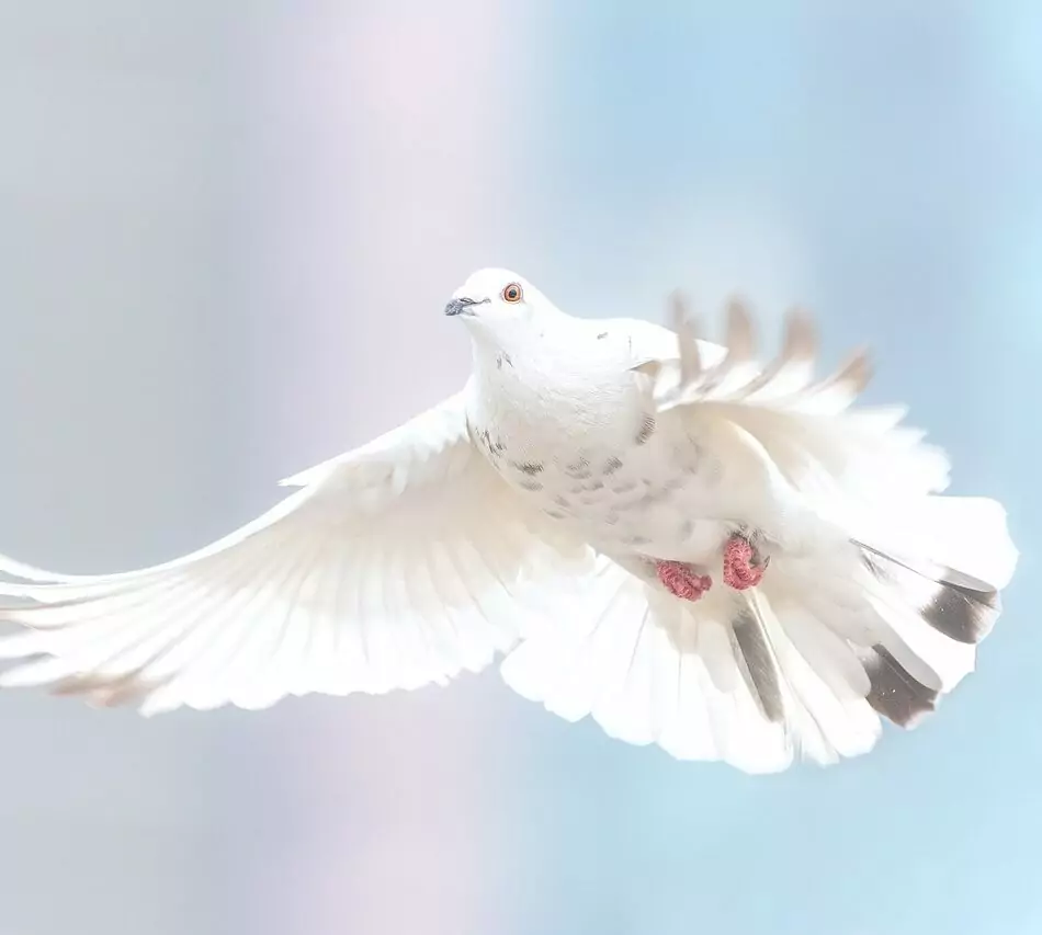 Be part of mass art as Lincoln Cathedral prepares to display hand ...